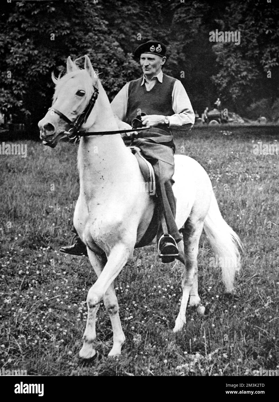 Feldmarschall general pferd -Fotos und -Bildmaterial in hoher Auflösung ...