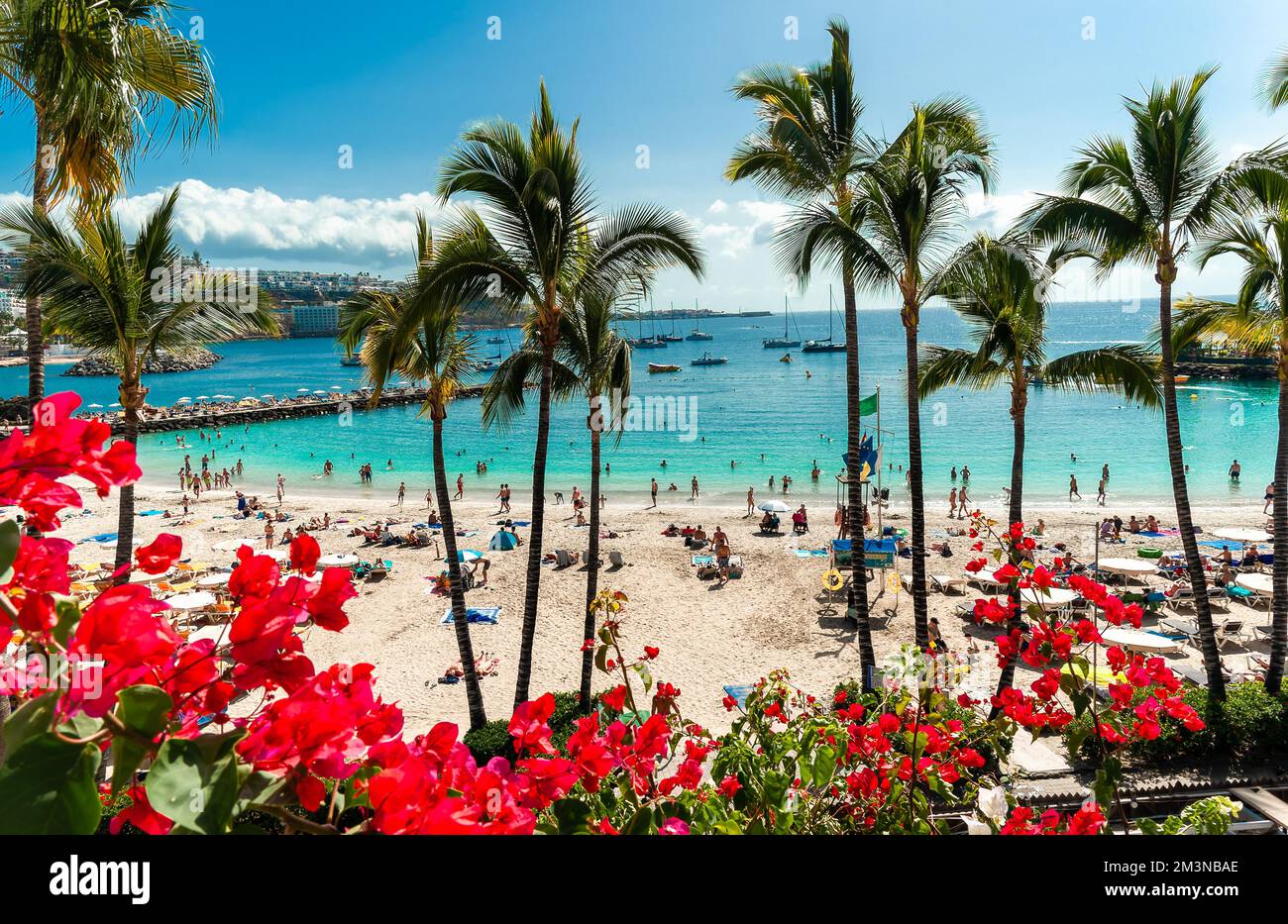 Anfi del mar -Fotos und -Bildmaterial in hoher Auflösung – Alamy