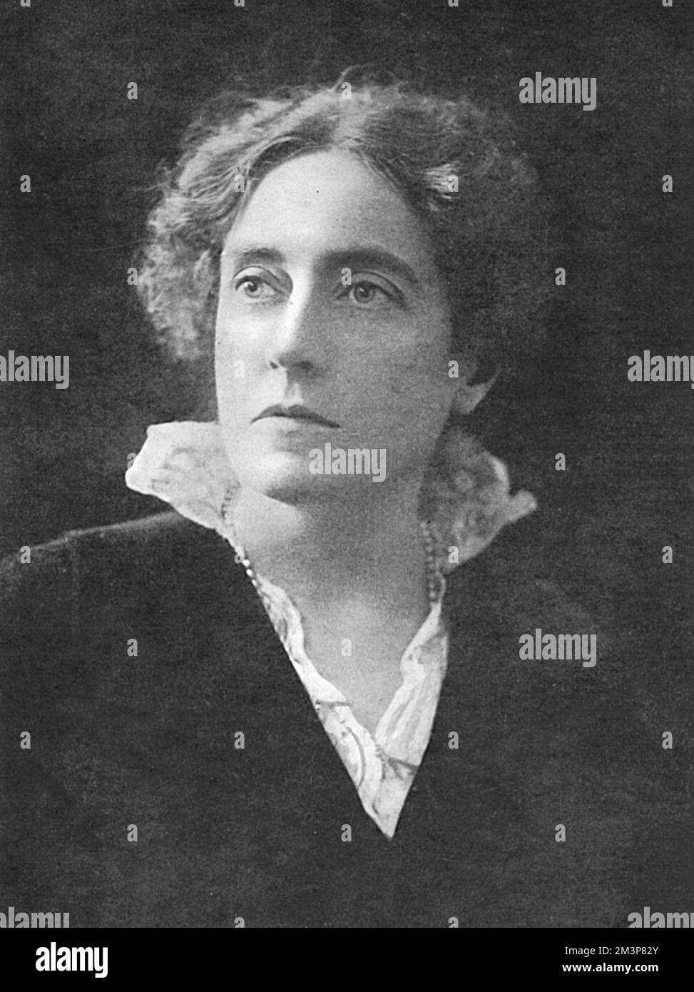 Violetter markham -Fotos und -Bildmaterial in hoher Auflösung – Alamy