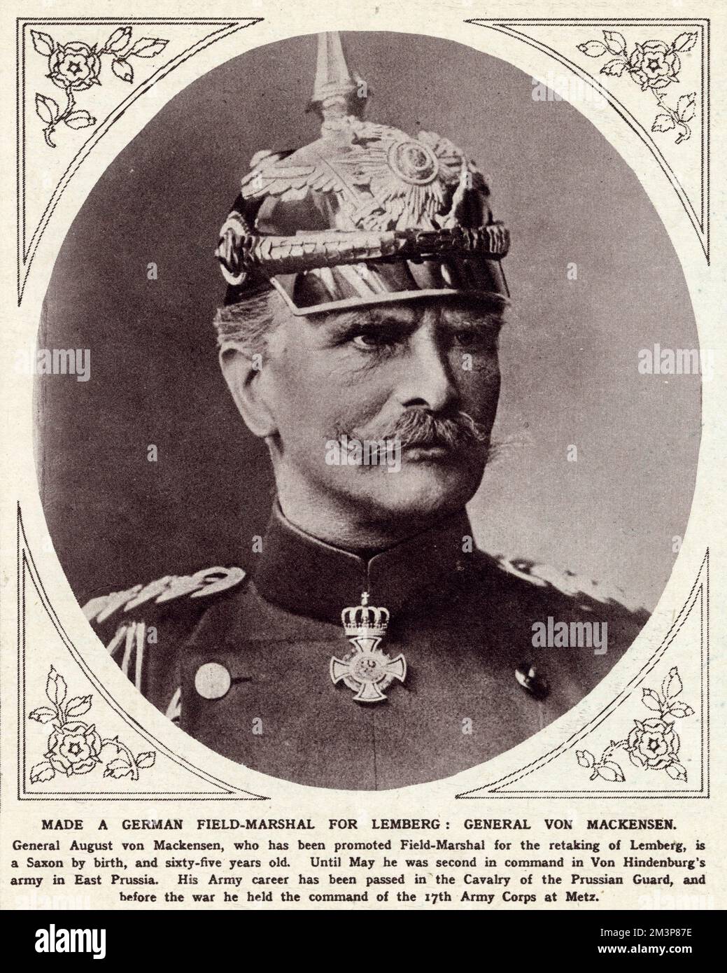 Von mackensen -Fotos und -Bildmaterial in hoher Auflösung – Alamy