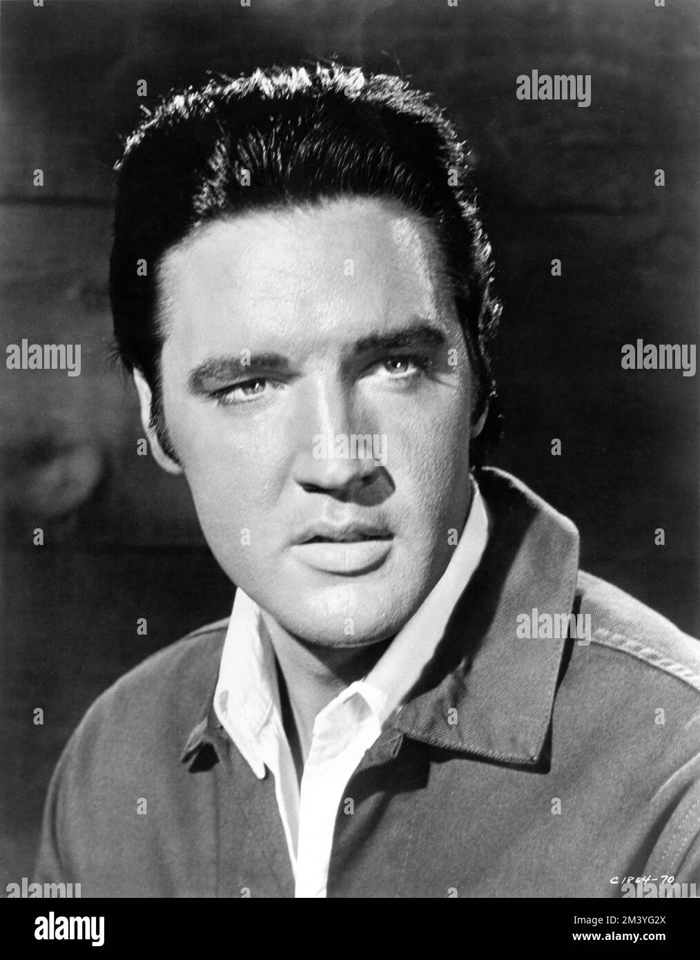 Elvis presley stay away joe -Fotos und -Bildmaterial in hoher Auflösung ...