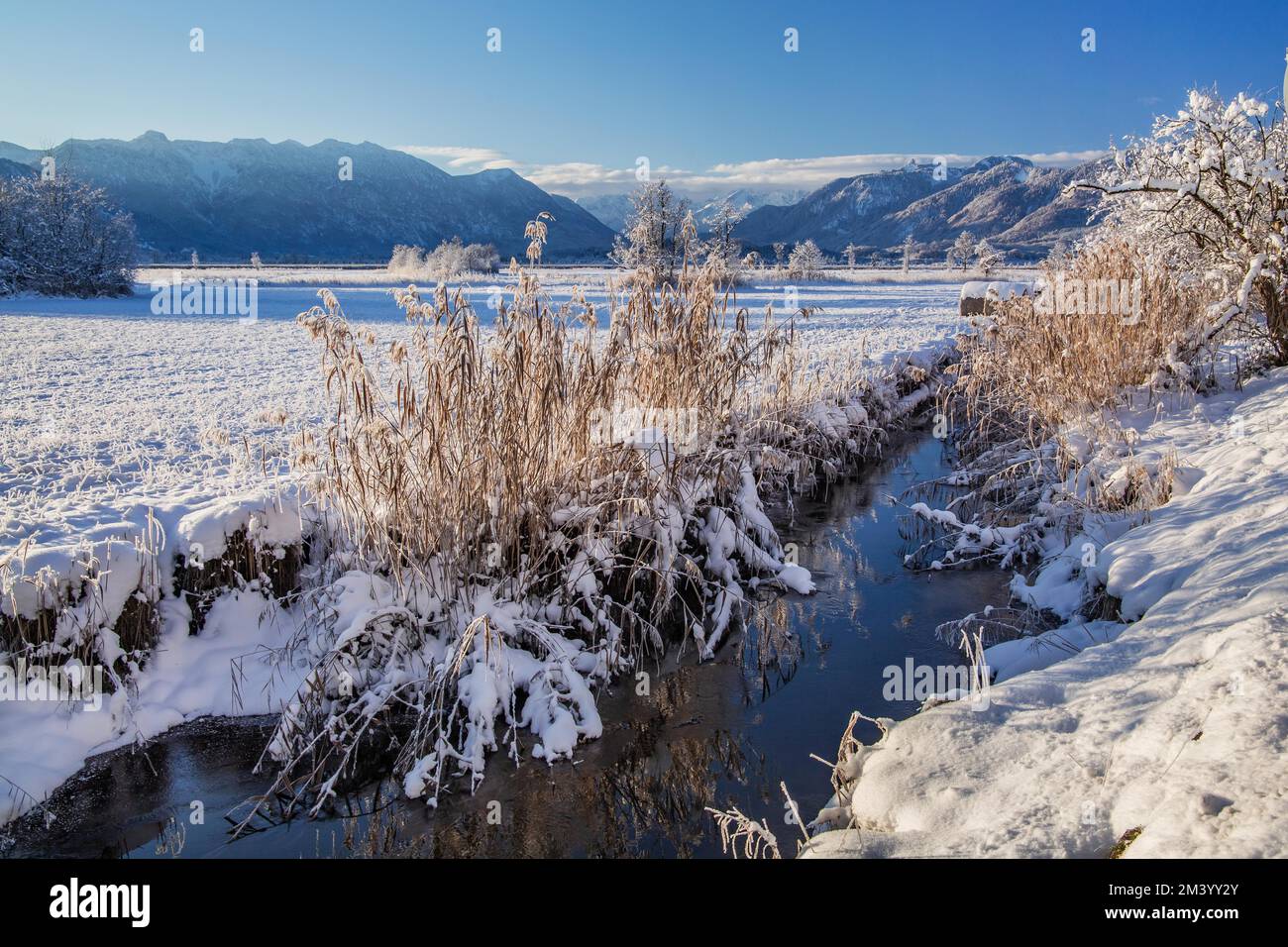Winterlandschaft im Moos Murnauer mit den Alpen Estergebirge und ...