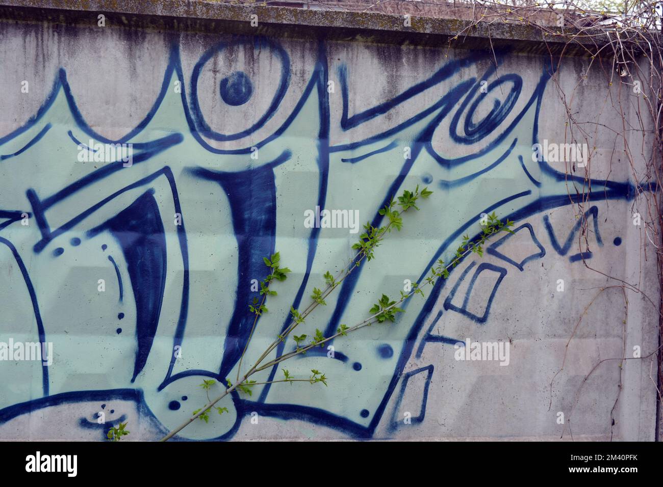 Graffiti-Wort SKGK, gezeichnet von einem Schoßhund in pinkfarbenen ...
