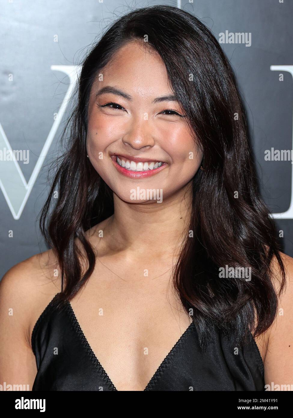 BEVERLY HILLS, LOS ANGELES, KALIFORNIEN, USA - 17. DEZEMBER: Allison ...