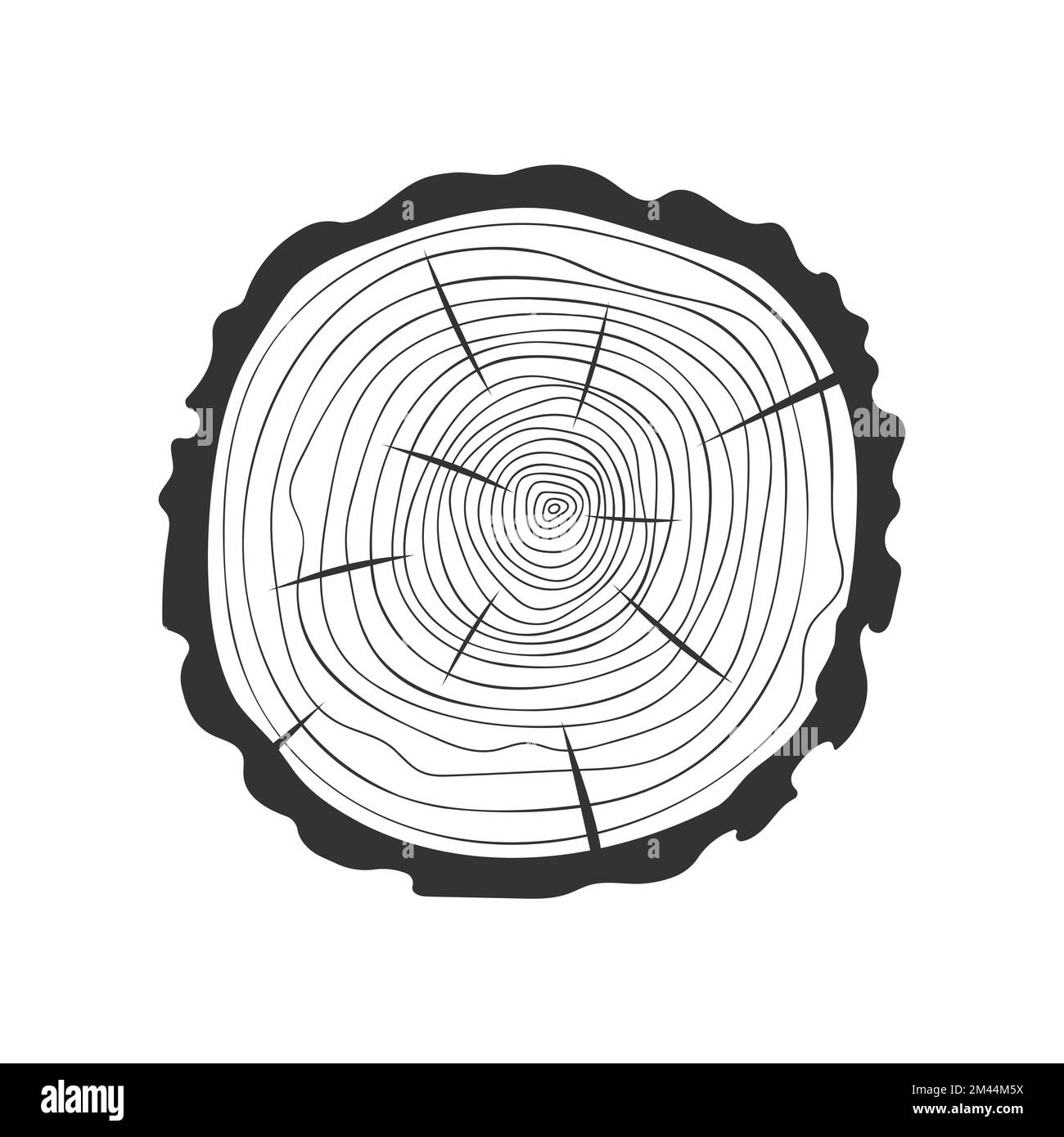 Baum jahresringe icon -Fotos und -Bildmaterial in hoher Auflösung – Alamy