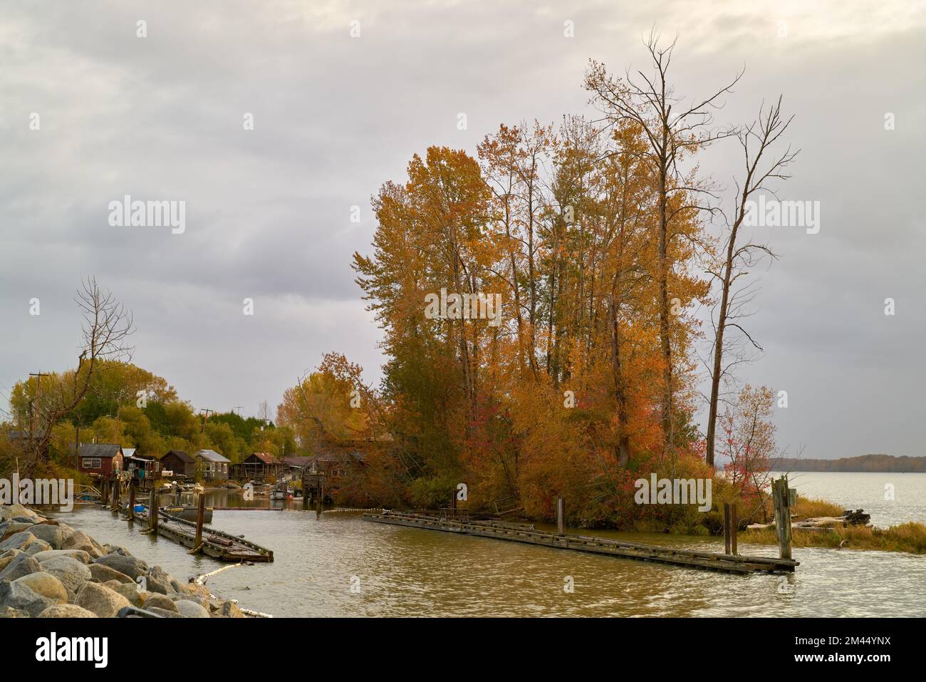River finn -Fotos und -Bildmaterial in hoher Auflösung – Alamy