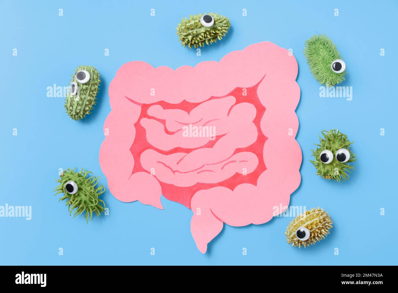 Darmflora darm bauch -Fotos und -Bildmaterial in hoher Auflösung – Alamy