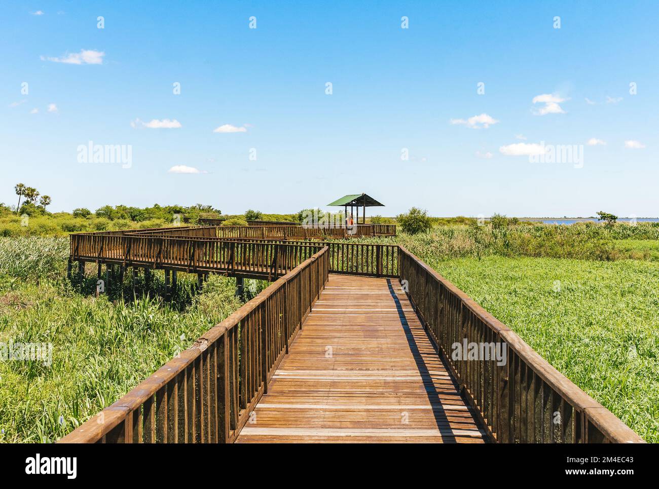 Ibera provinzpark -Fotos und -Bildmaterial in hoher Auflösung – Alamy