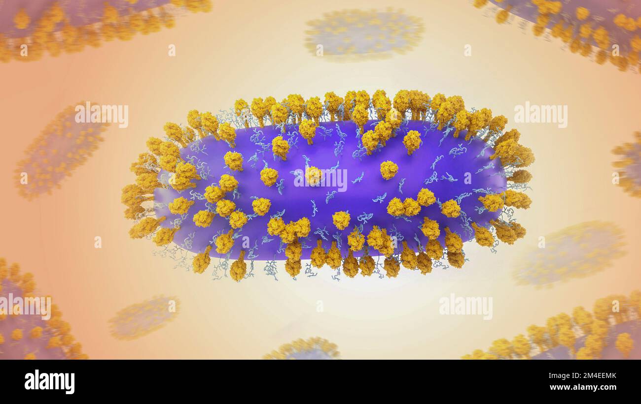 Respiratory Syncytial Virus (RSV) – ein verbreitetes ansteckendes Virus ...