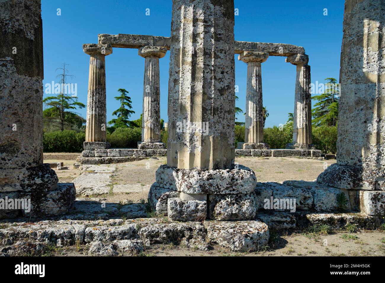 Sito archeologico di metaponto -Fotos und -Bildmaterial in hoher ...