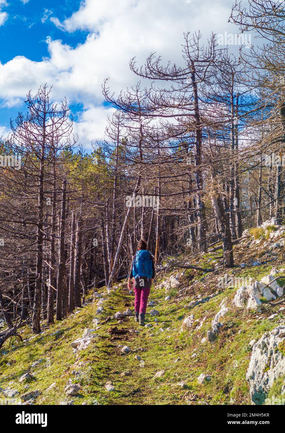 Monte La Serra (Italien) - der Gipfel von Monti del Cicolano neben ...