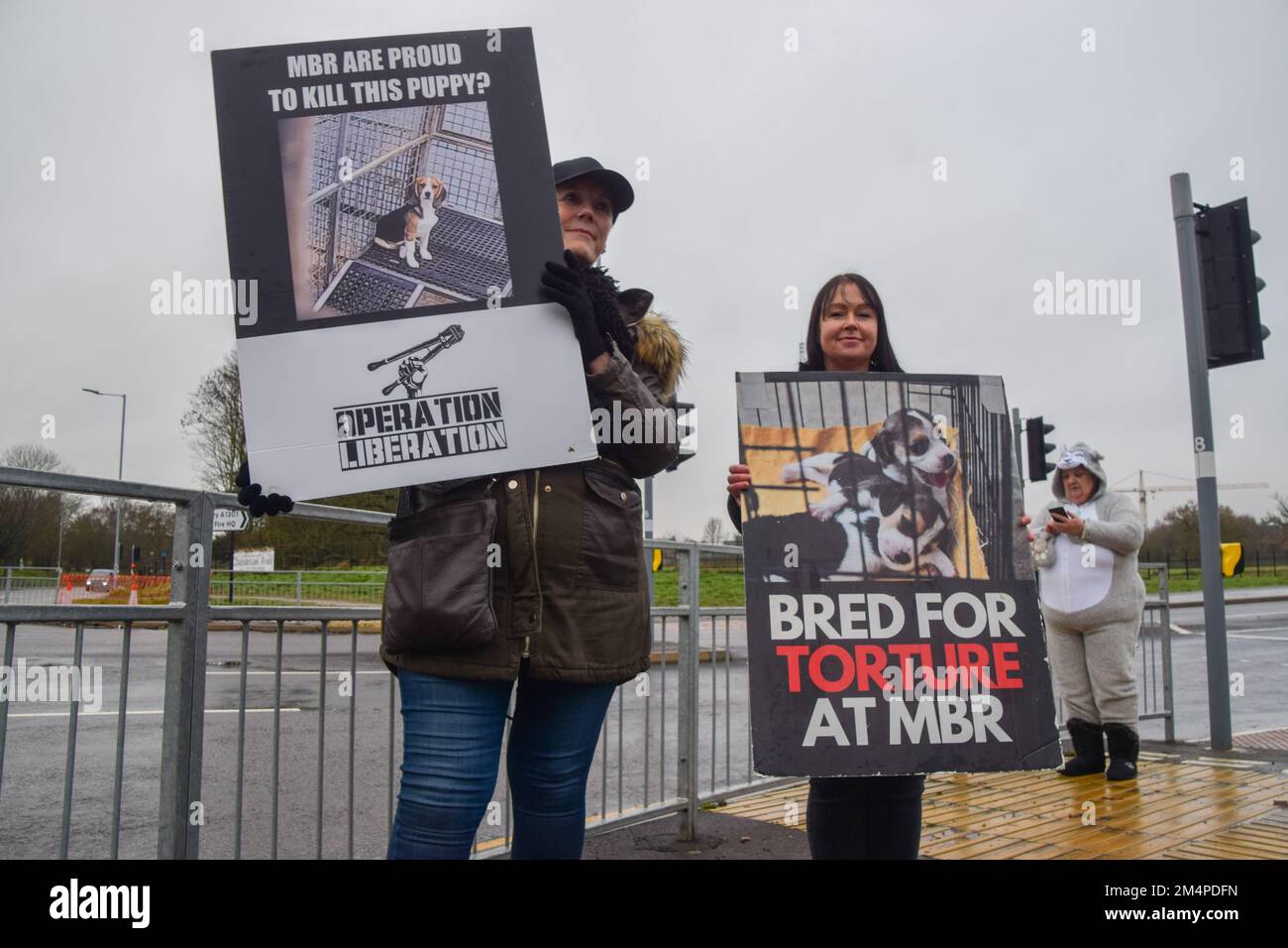 Huntingdon, Großbritannien. 22. Dezember 2022 Tierschutzaktivisten ...