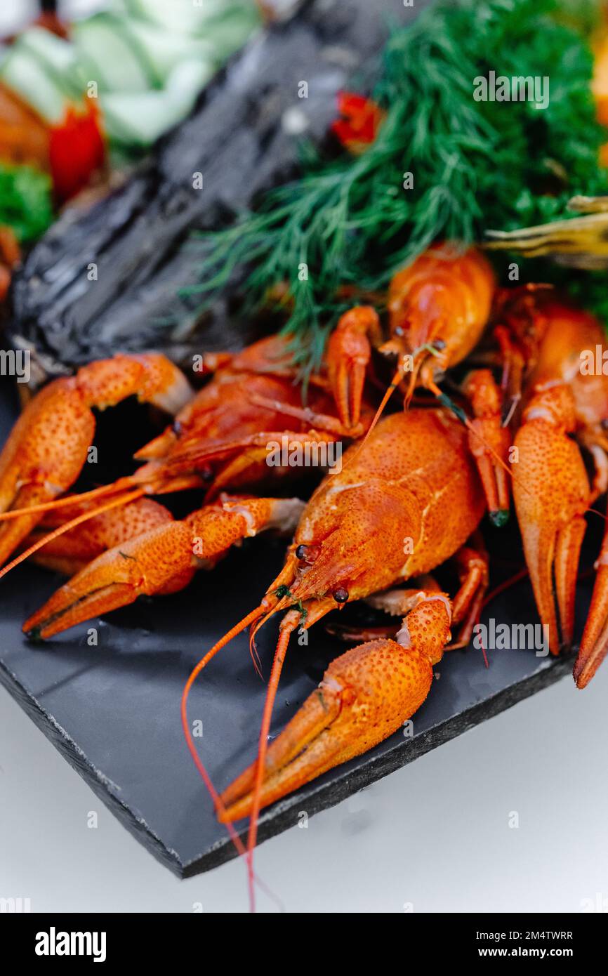 Krebs krebs krebse krebse krebse krebse krebse krebse krebse krebse krebs -Fotos und ...