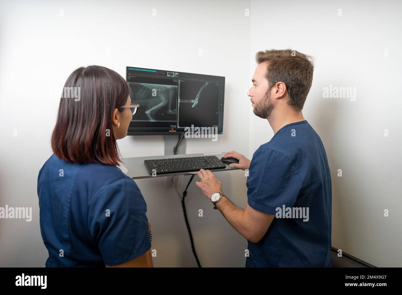 Tierärzte prüfen Röntgenbilder am Computer in der Klinik ...