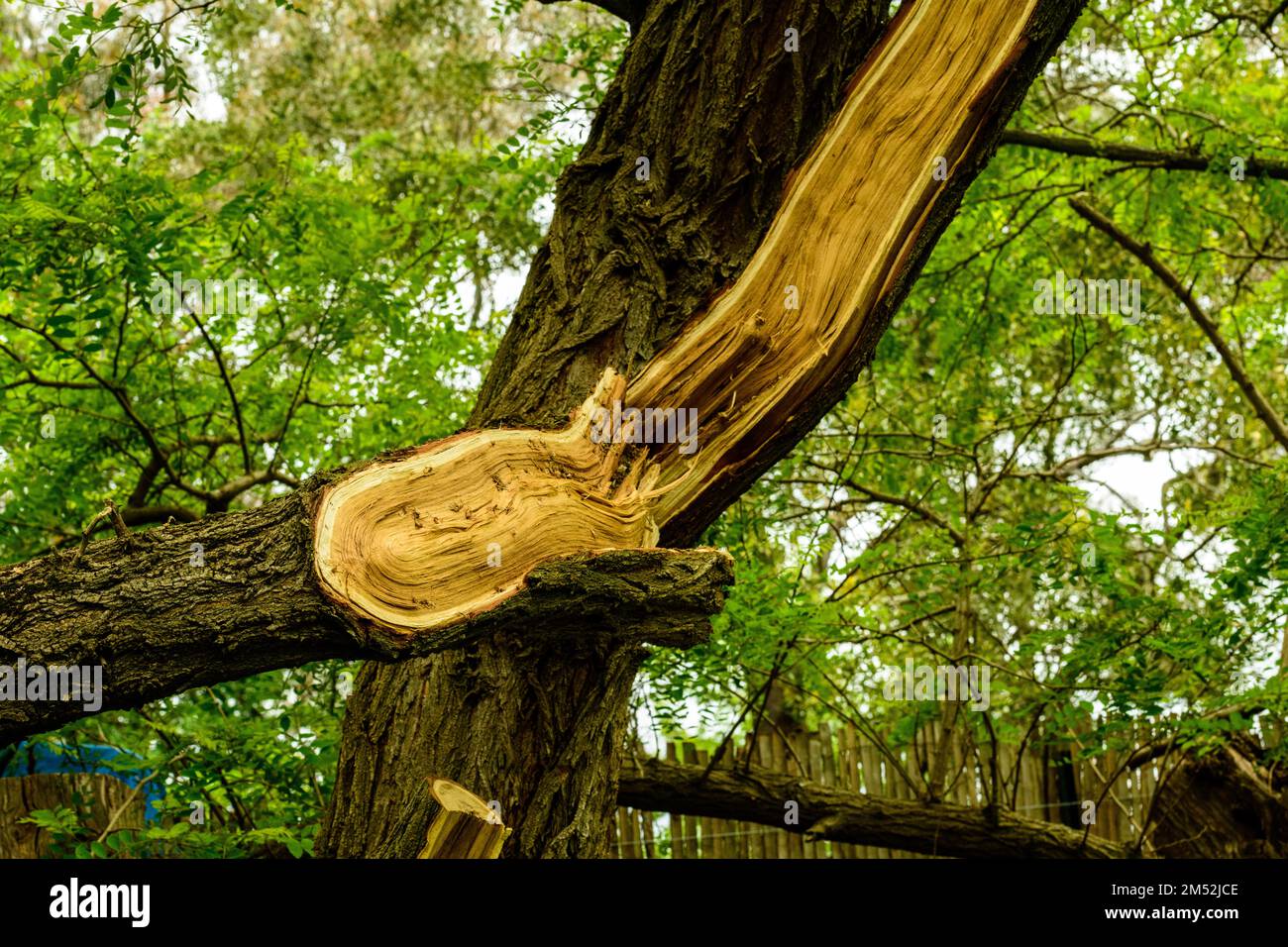 Riss es aus -Fotos und -Bildmaterial in hoher Auflösung – Alamy