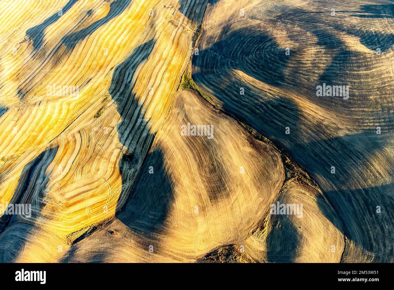 Eine Luftaufnahme von goldenen Weizenfeldern in den sanften Hügeln der ...