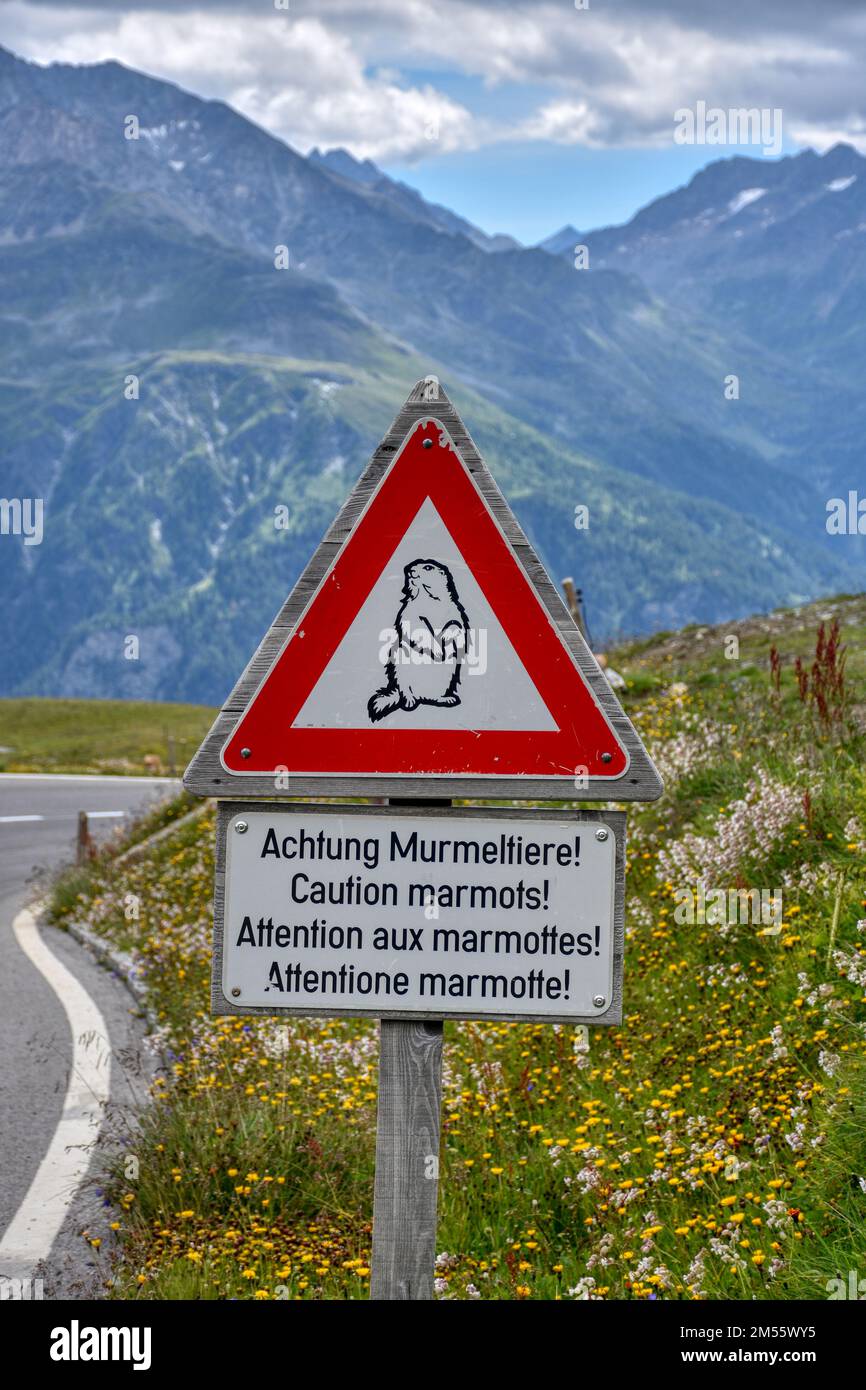 Verkehrszeichen, Warnung, Murmeltier, Tafel, Schild, Verkehrsschild ...