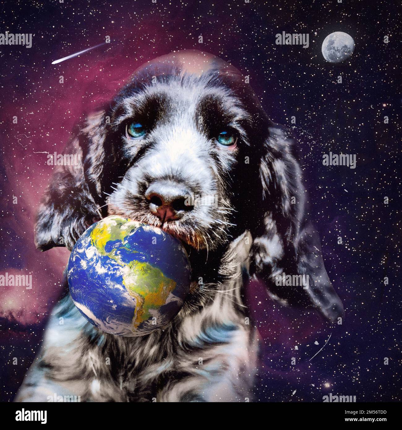 Earth shape -Fotos und -Bildmaterial in hoher Auflösung – Alamy