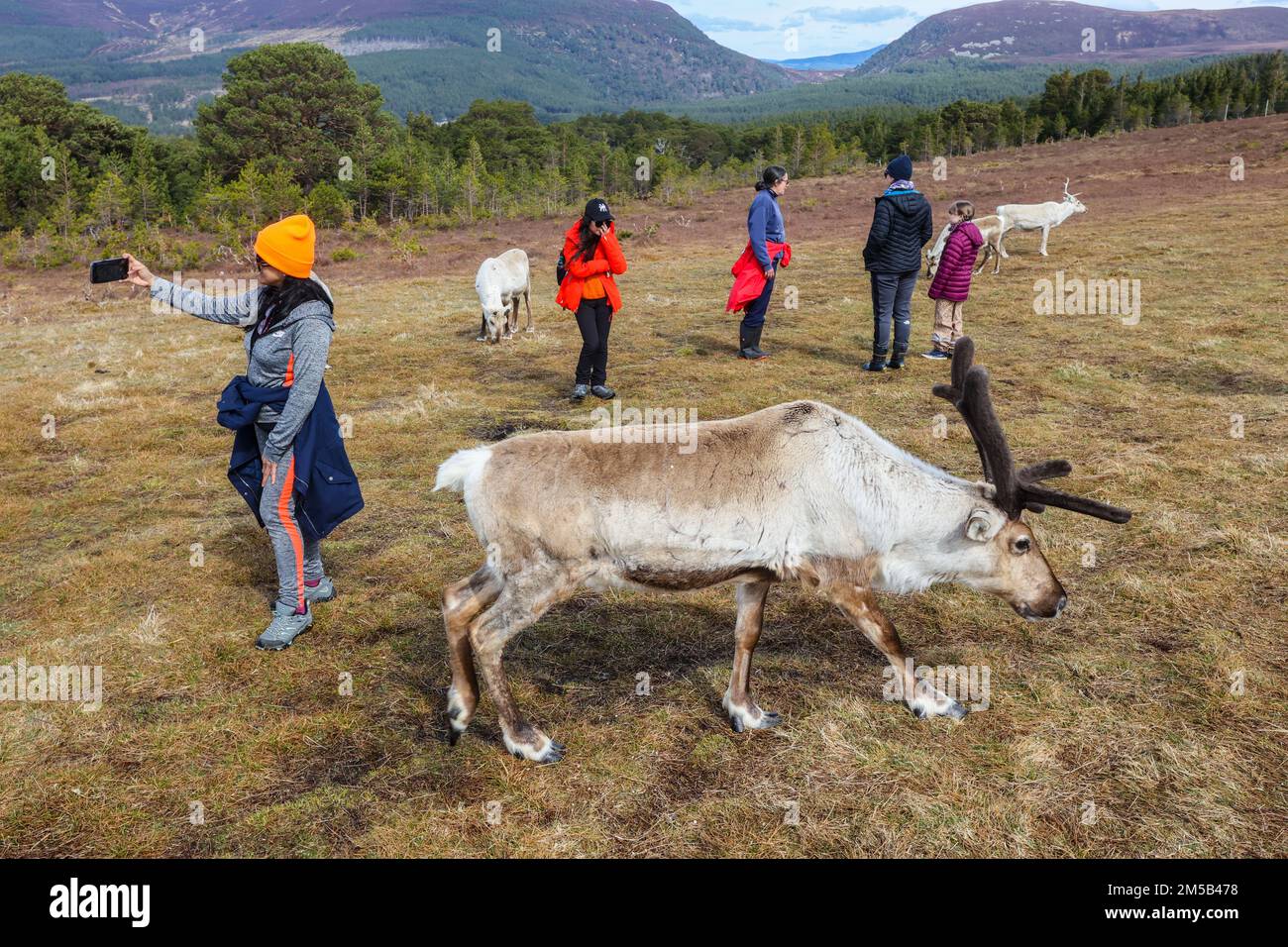 Roaming experten -Fotos und -Bildmaterial in hoher Auflösung – Alamy