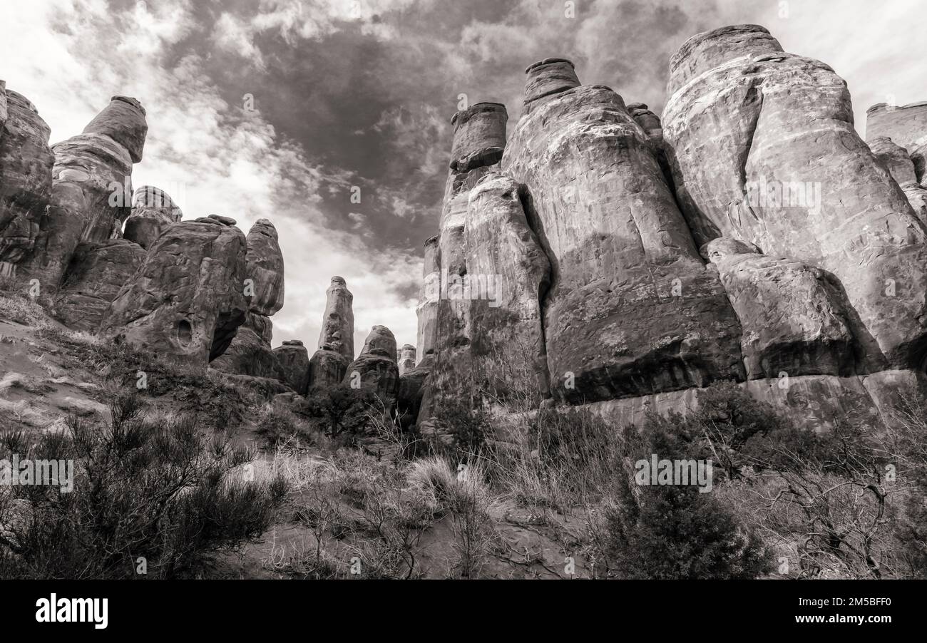 Zwei Reihen von Flossen kreuzen sich über Sanddünen im Fiery Ofen im ...