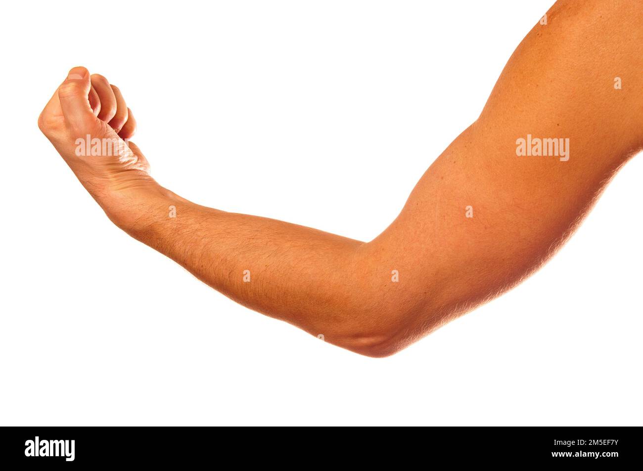 Starker arm -Fotos und -Bildmaterial in hoher Auflösung - Seite 2 - Alamy