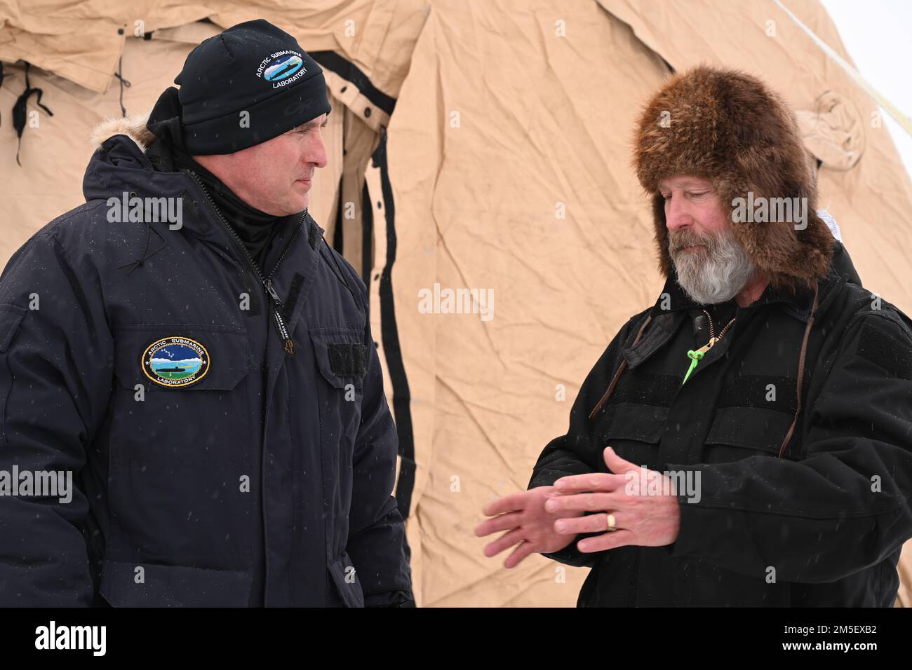 Gen krumm -Fotos und -Bildmaterial in hoher Auflösung – Alamy