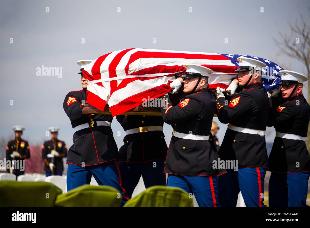 Steifes glied -Fotos und -Bildmaterial in hoher Auflösung – Alamy