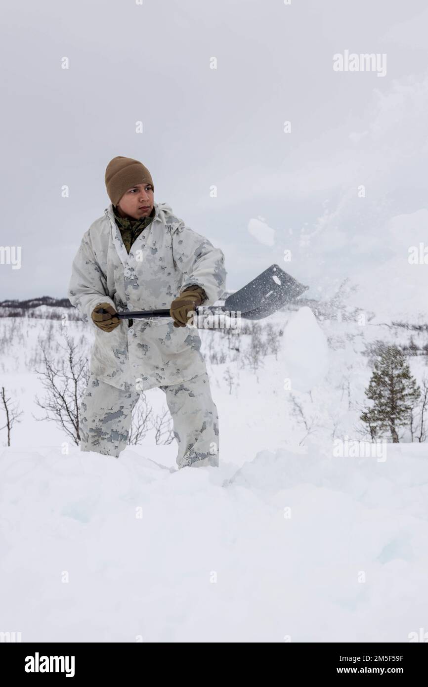 2d anglico ii marine expeditionskraft -Fotos und -Bildmaterial in hoher ...