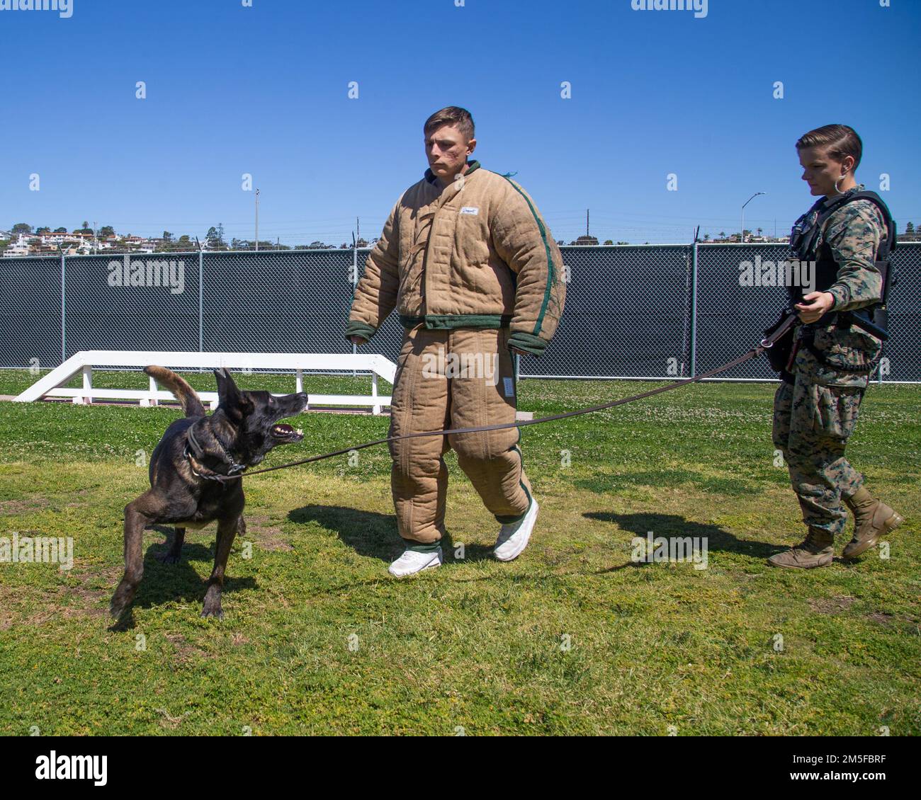USA Marinekorps CPL. Makayla A. Wedge, Right, und CPL. Dennis E ...