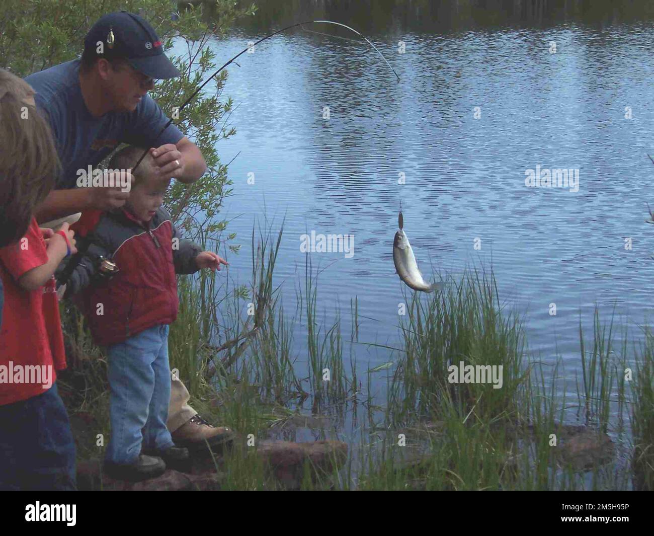 Flaming Gorge-Uintas National Scenic Byway - ein Fisch im Ashley ...