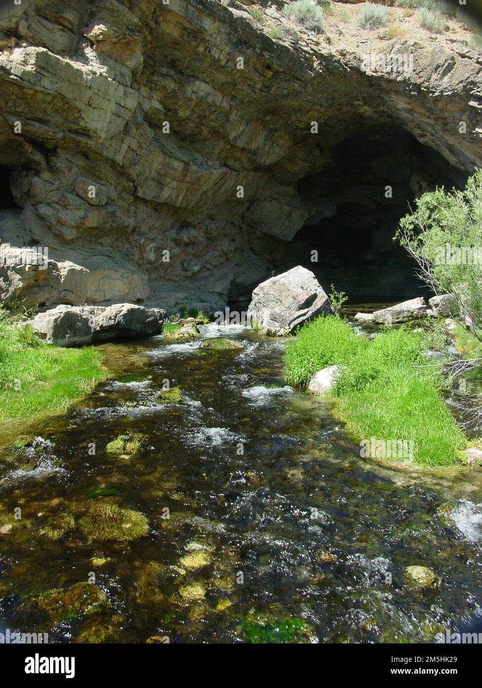 Logan Canyon Scenic Byway - Ricks Spring. Das Wasser fließt ...