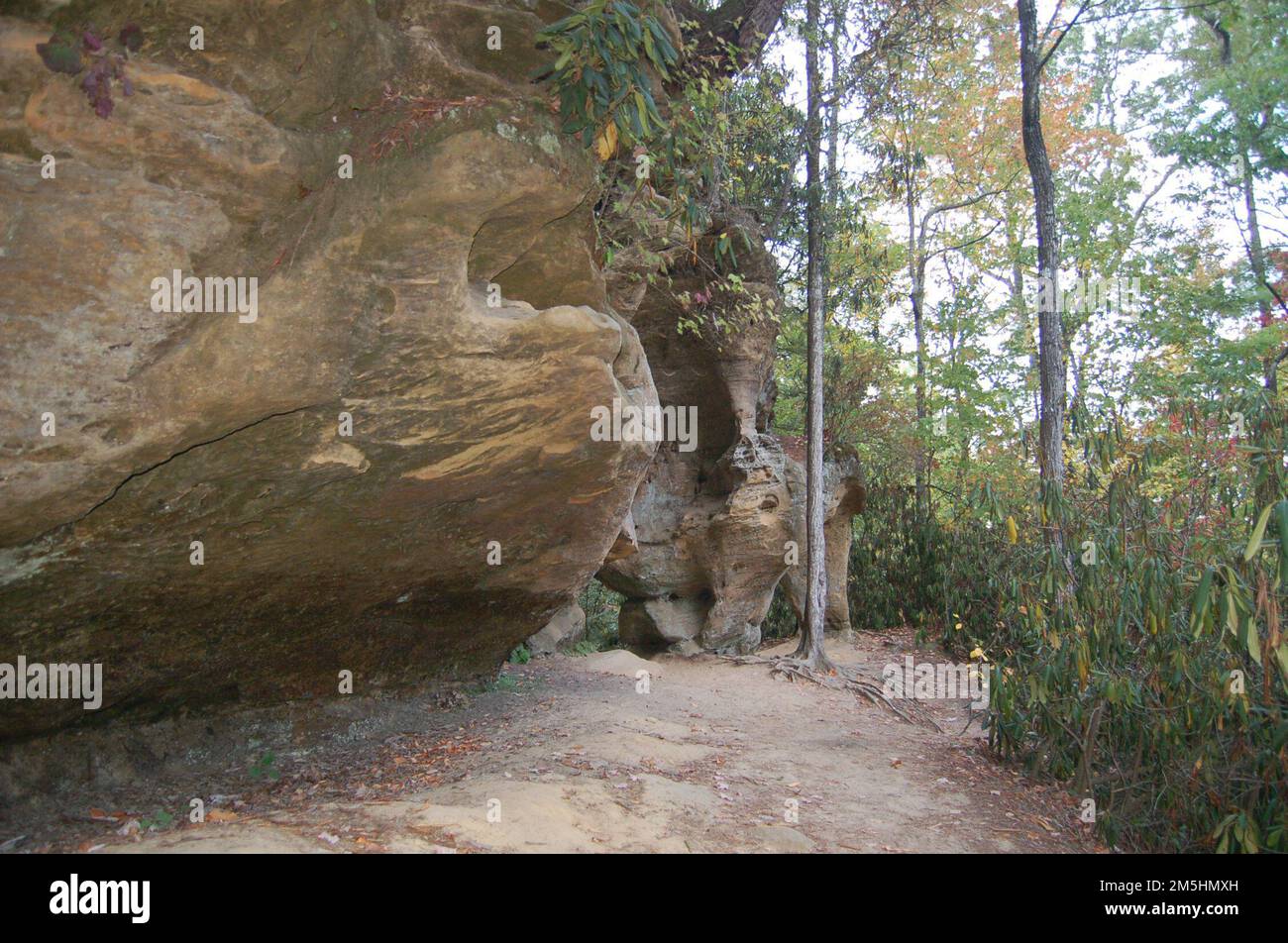 Red River Gorge Scenic Byway - Angel Windows. Mehrere „Fenster“ im ...