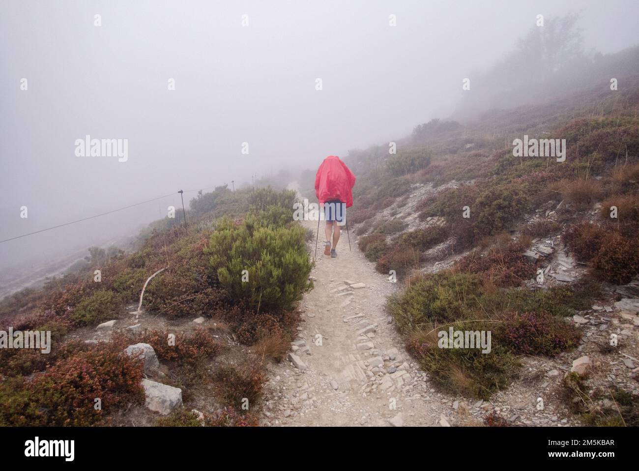 Weg über die heide -Fotos und -Bildmaterial in hoher Auflösung – Alamy