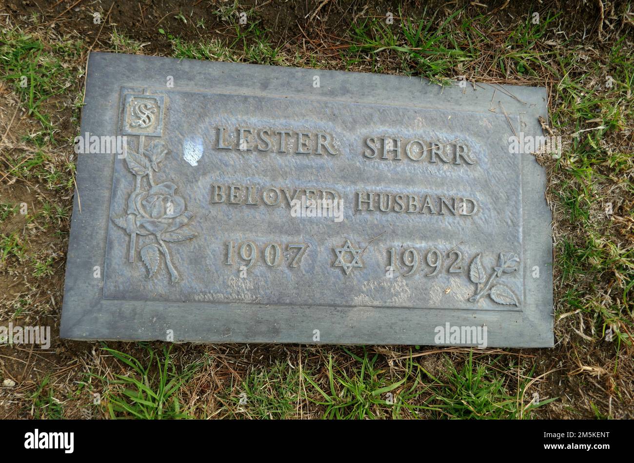 Lester shorr -Fotos und -Bildmaterial in hoher Auflösung – Alamy