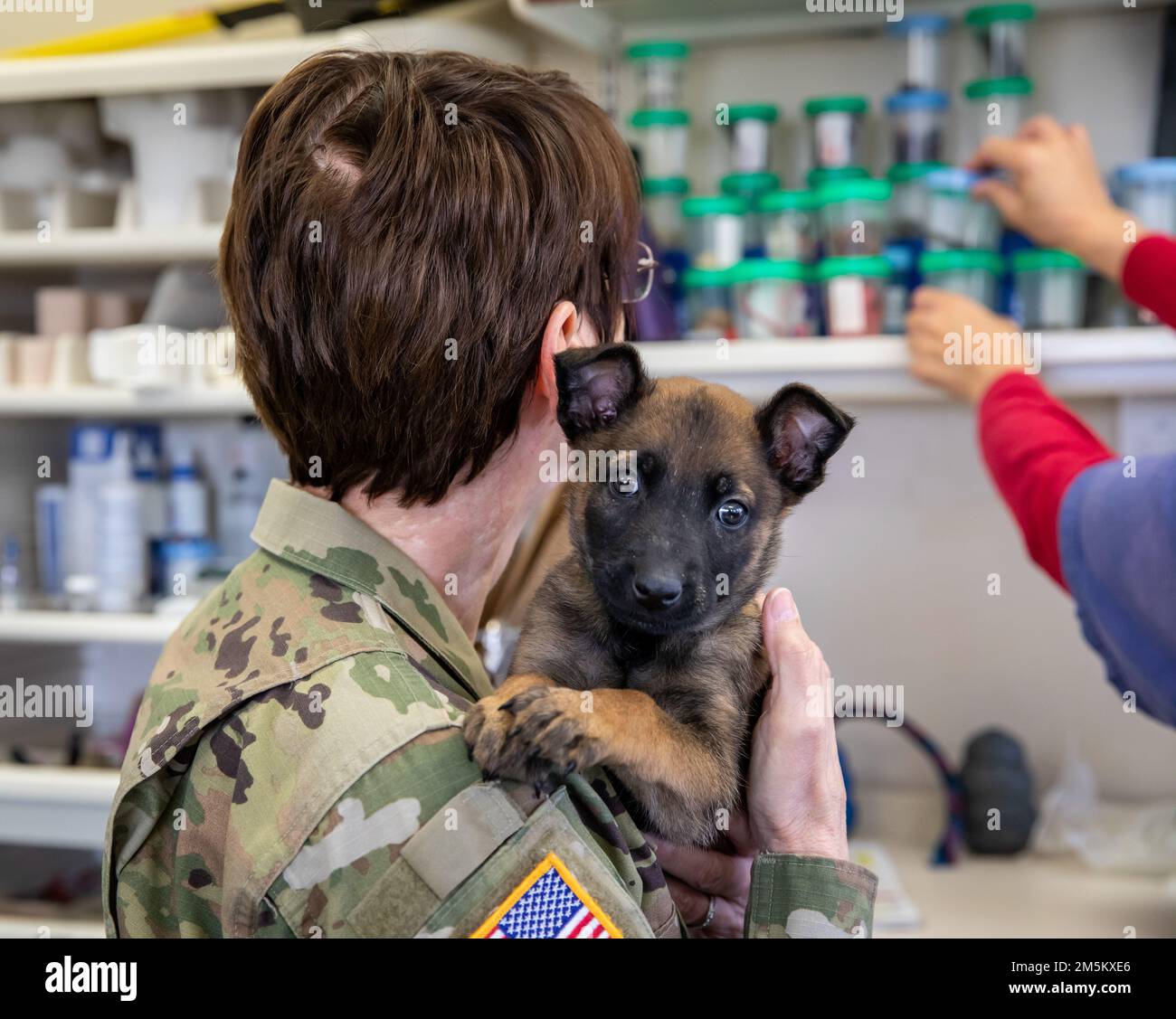 Oberst Deborah Whitmer, USA Leiter des Veterinäramts der Armee, besucht ...