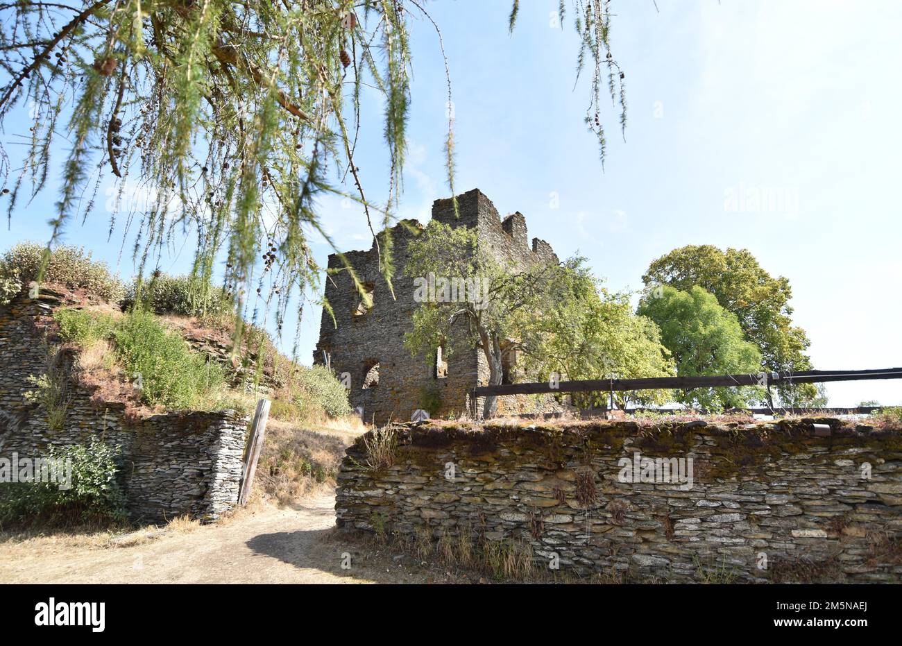 Dill castle -Fotos und -Bildmaterial in hoher Auflösung – Alamy