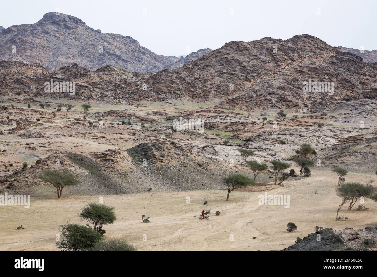 118 LEPELLEY Benjamin (FRA), Team Dumontier Racing, Husqvarna, Moto ...