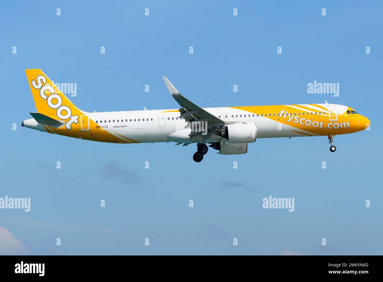 Scoot a321 -Fotos und -Bildmaterial in hoher Auflösung – Alamy