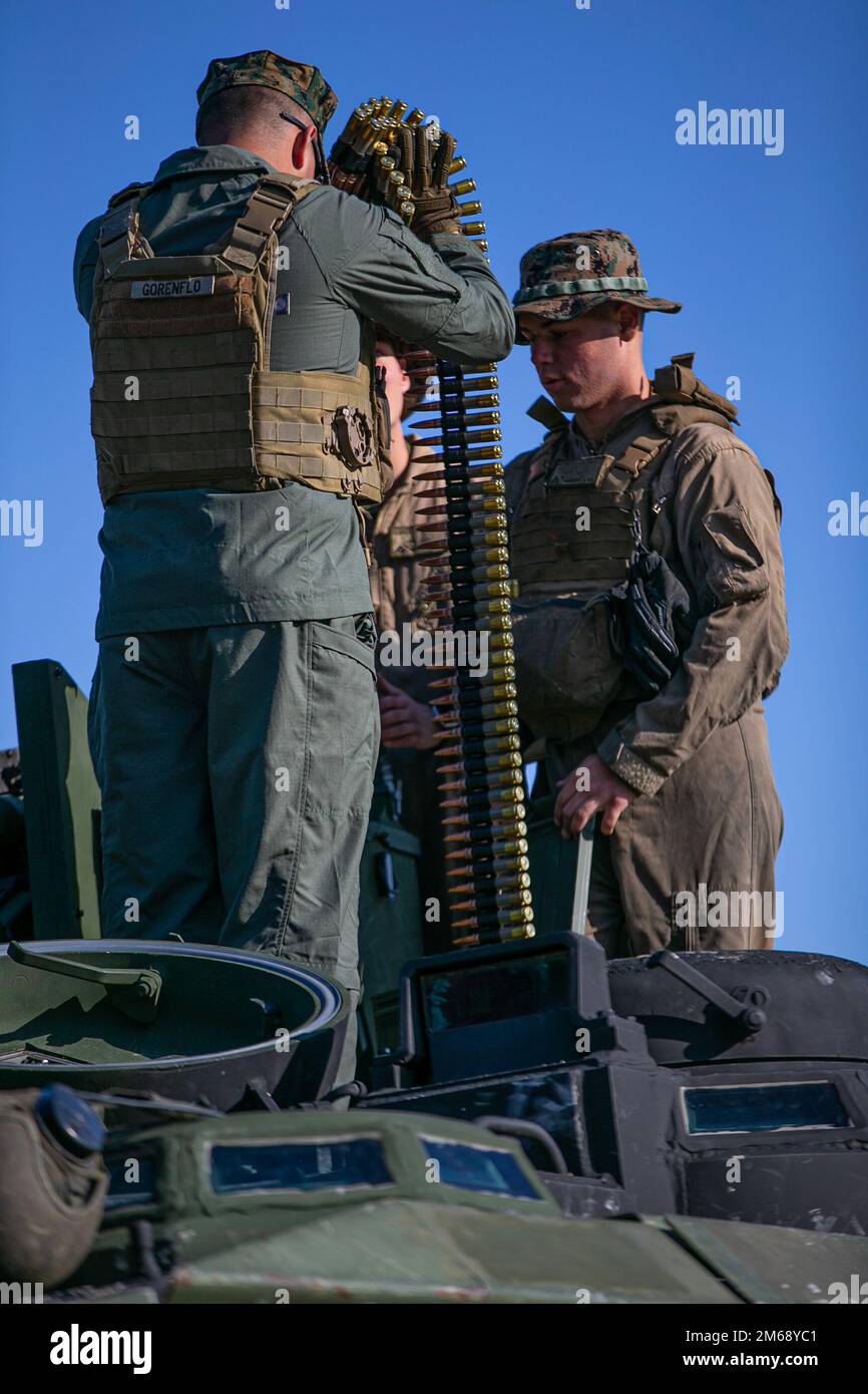 Divisione polimerica -Fotos und -Bildmaterial in hoher Auflösung – Alamy