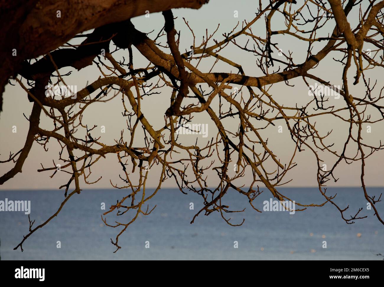Ostsee landschaft mit menschen alamy -Fotos und -Bildmaterial in hoher ...