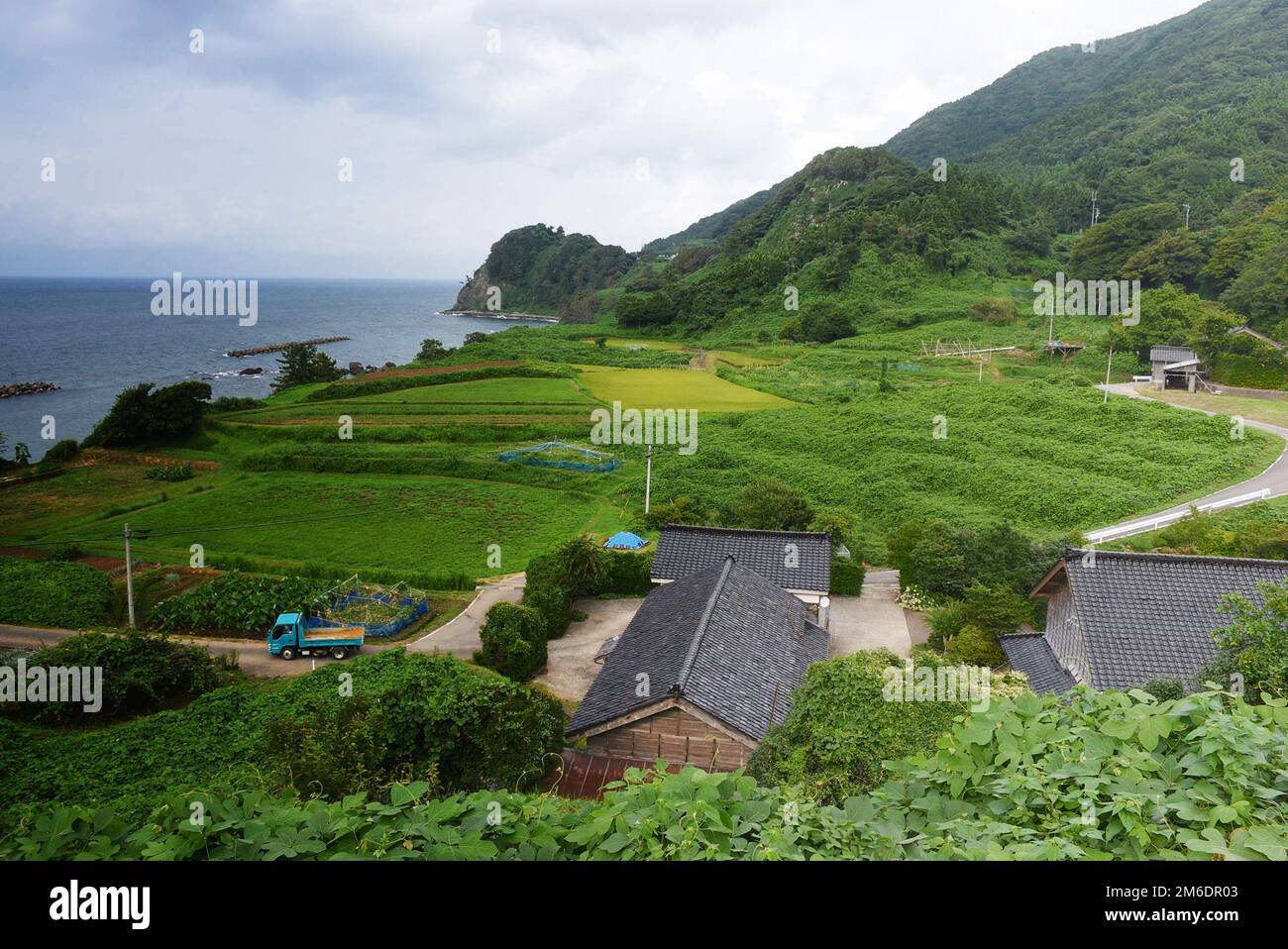 Shiroyone Senmaida Rice Terraces - ein malerischer Hügel mit ...