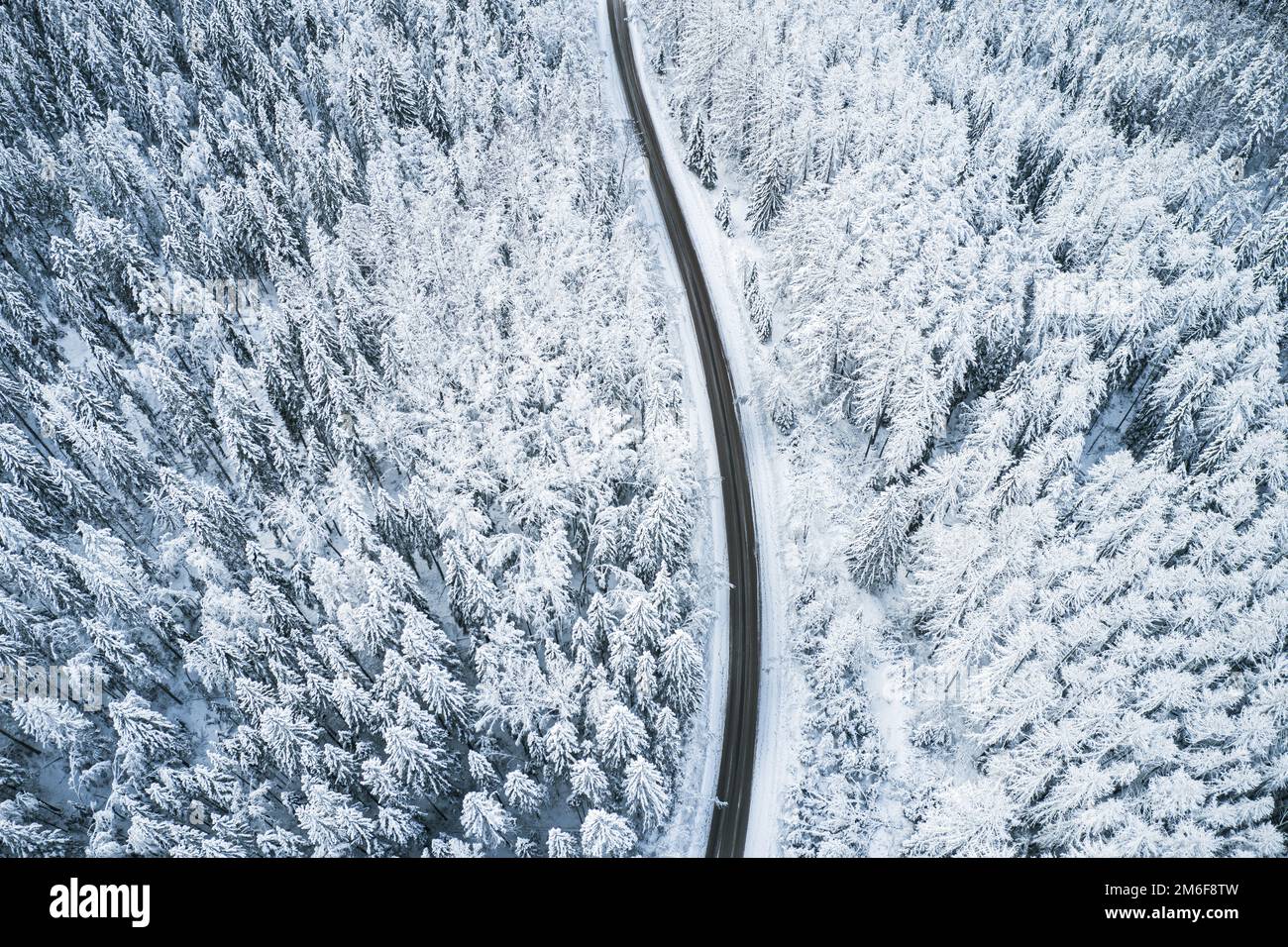 Straße wald oben -Fotos und -Bildmaterial in hoher Auflösung – Alamy