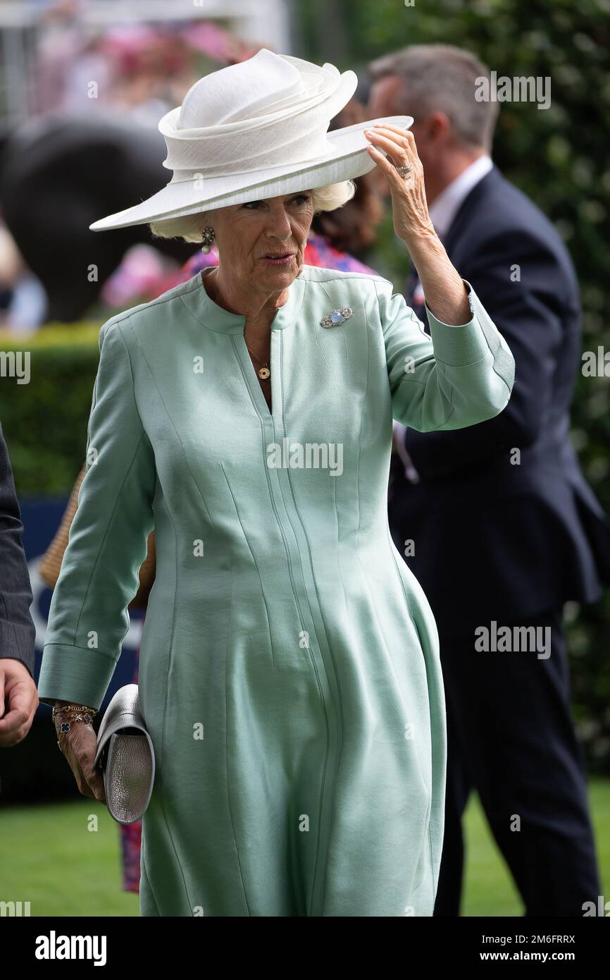 Blassgrüner schichtmantel -Fotos und -Bildmaterial in hoher Auflösung ...