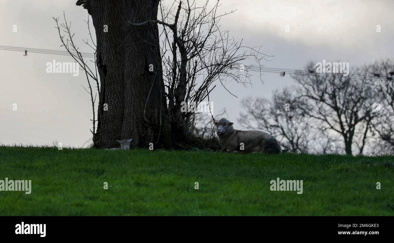 Aufstieg 2023 -Fotos und -Bildmaterial in hoher Auflösung - Seite 2 - Alamy