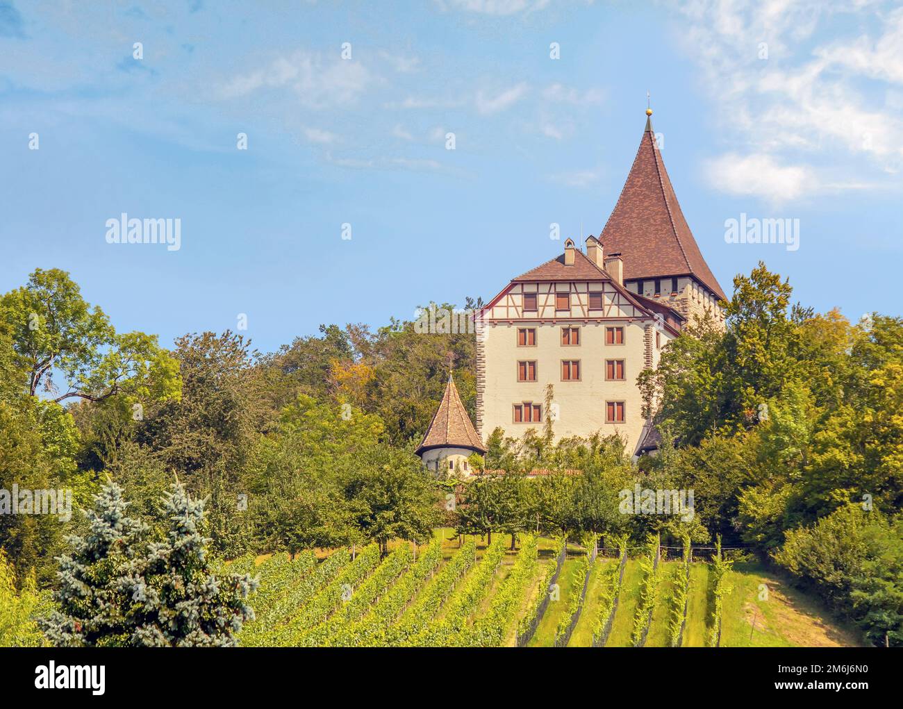 Schloss Weinfelden, Kanton Thurgau, Schweiz Stockfotografie - Alamy