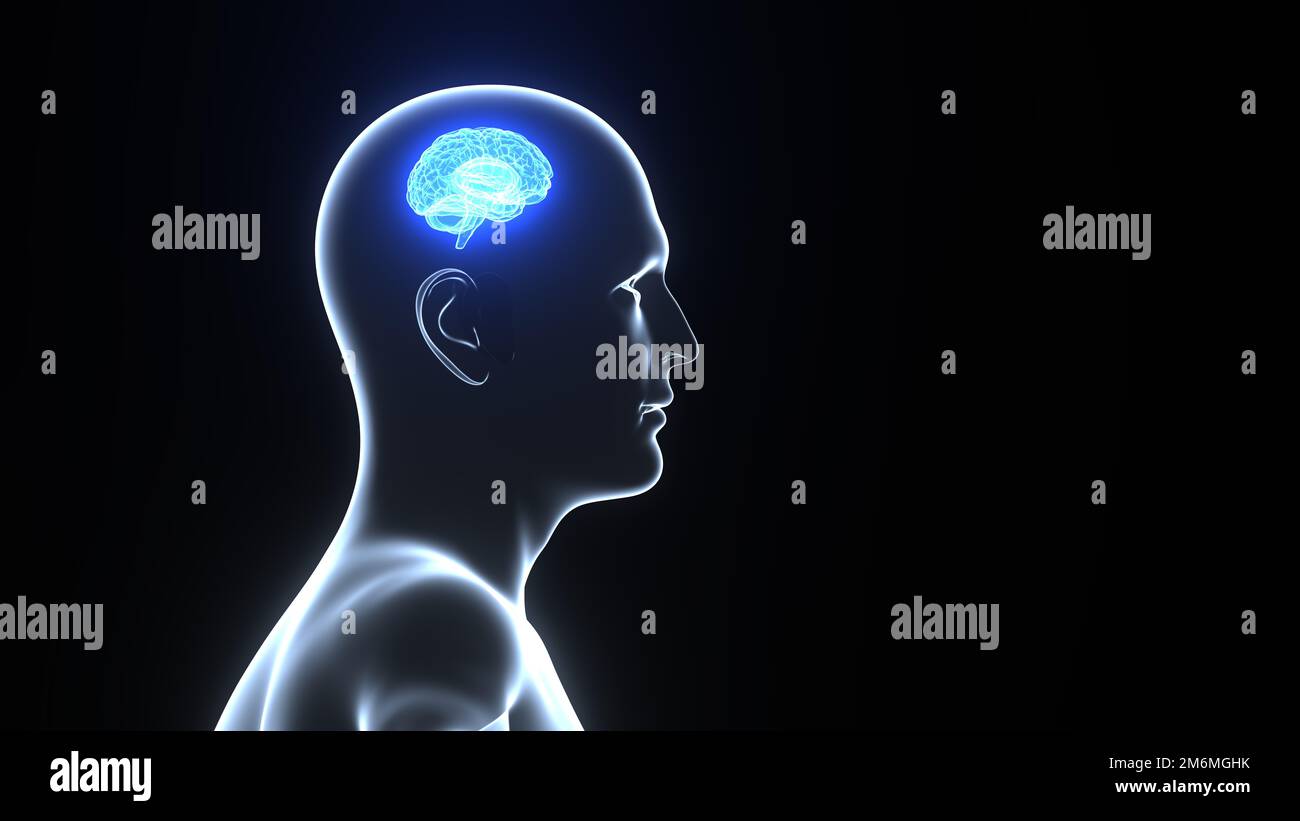 Der dumme mann -Fotos und -Bildmaterial in hoher Auflösung – Alamy