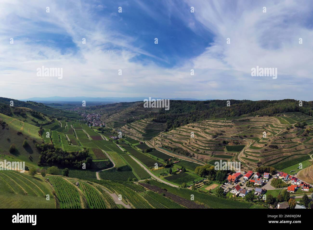 Schelingen am kaiserstuhl -Fotos und -Bildmaterial in hoher Auflösung – Alamy
