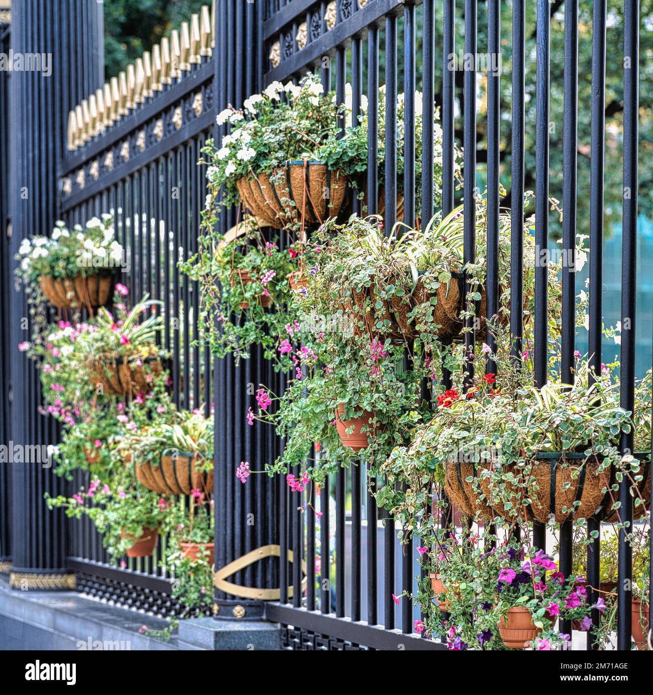 Alexander garten moskau -Fotos und -Bildmaterial in hoher Auflösung – Alamy