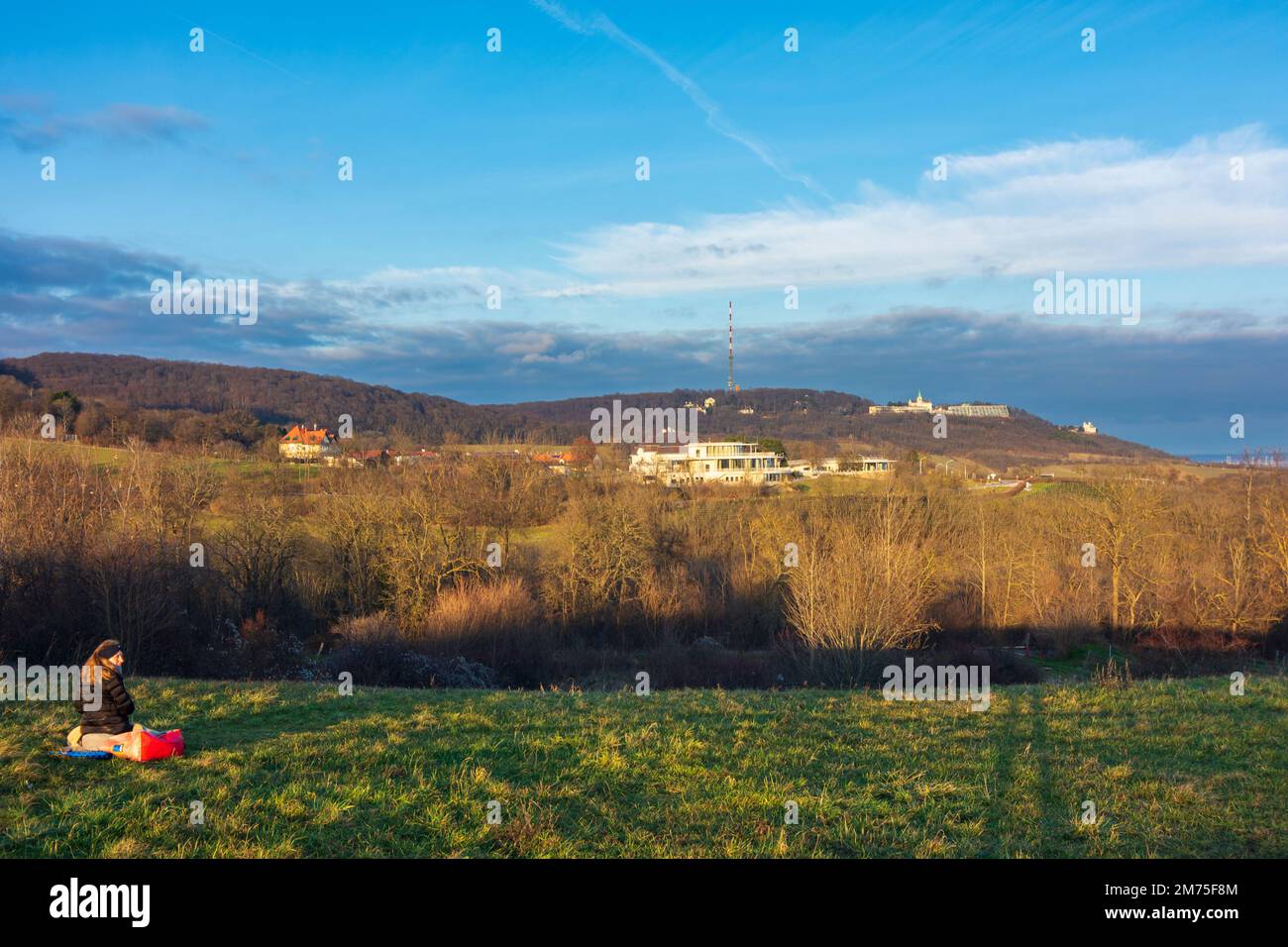 Wienerwald wienerwald mit berg kahlenberg mit antenne -Fotos und ...