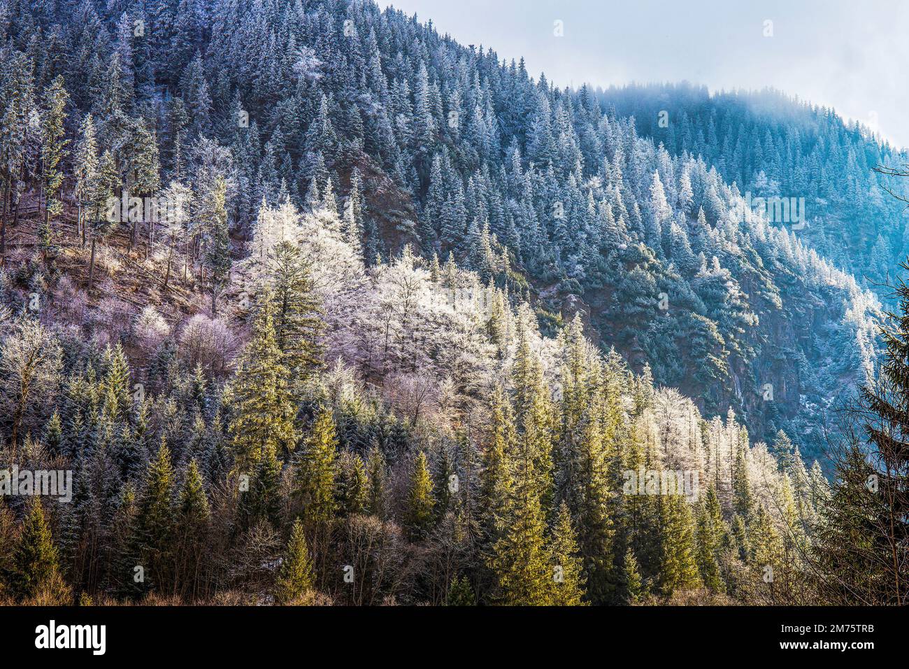 Nationales tatra reservat -Fotos und -Bildmaterial in hoher Auflösung ...